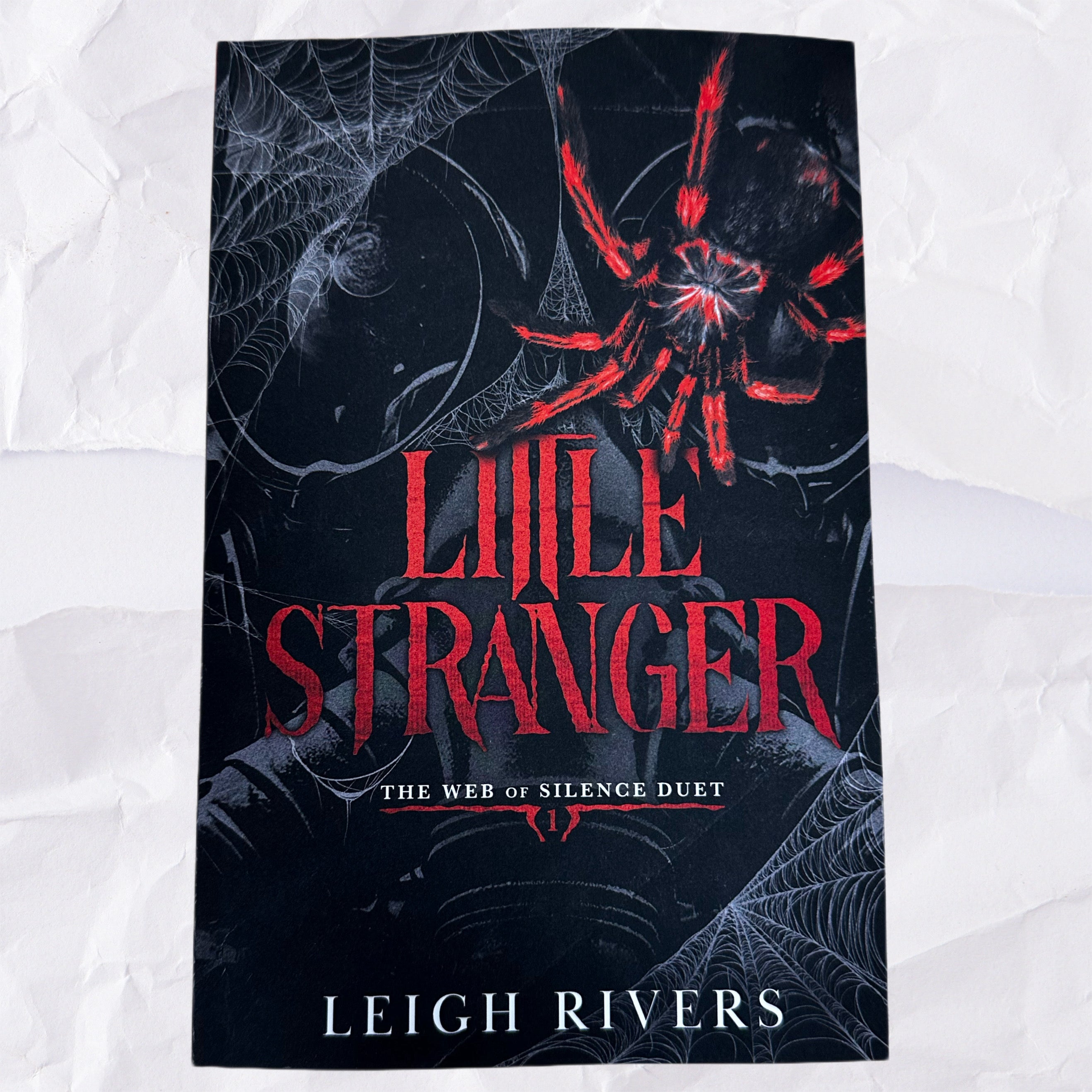 Little Stranger (The Web of Silence Duet #1) by Leigh Rivers – A ...