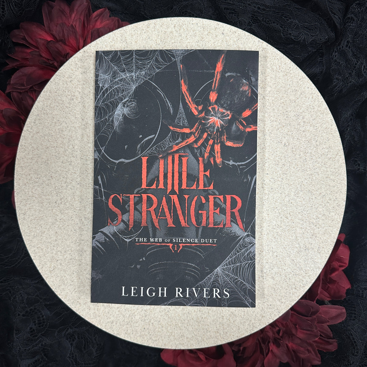 Little Stranger (The Web of Silence Duet #1) by Leigh Rivers – A ...
