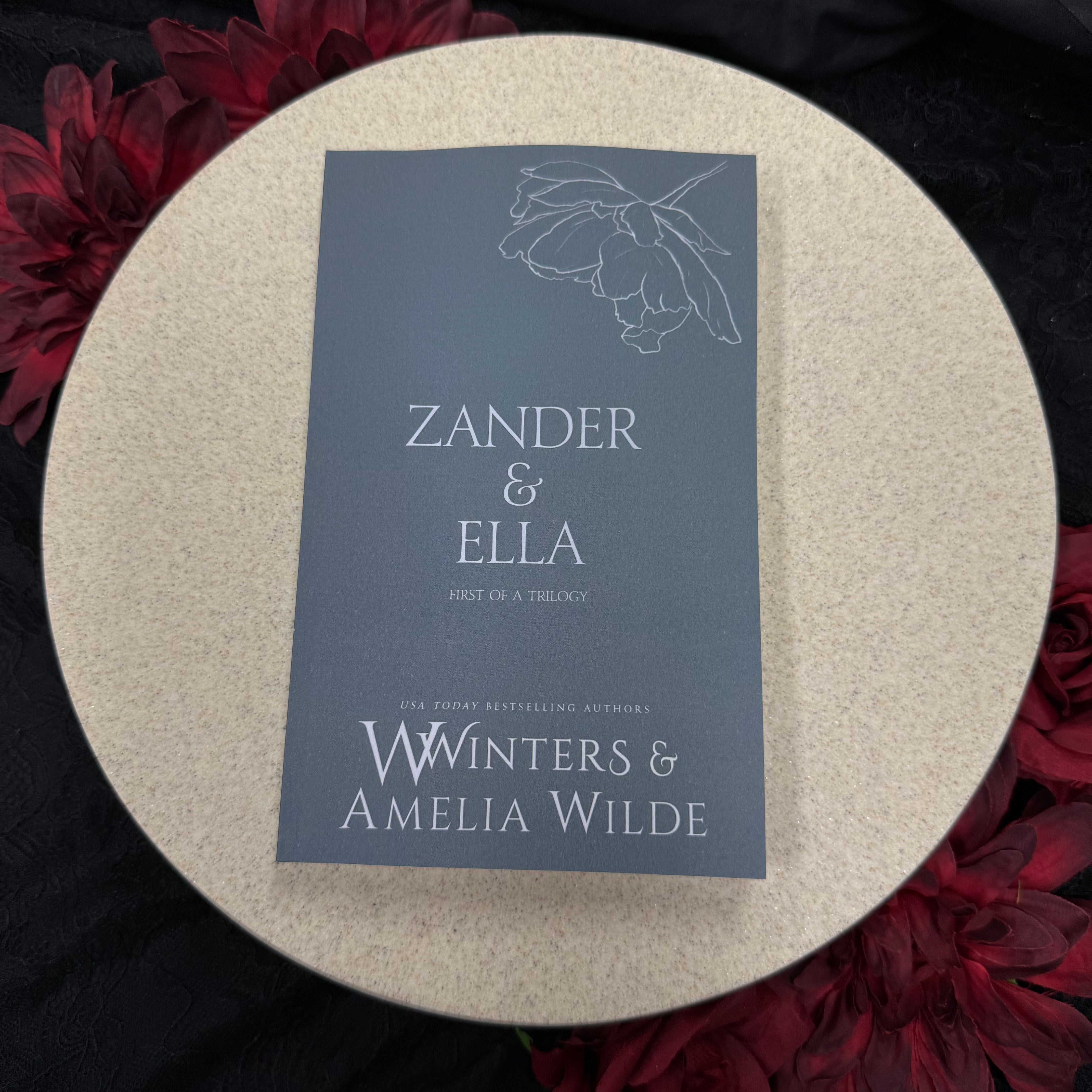 45) Zander & Ella - First of a Trilogy: Discreet Series by Willow Wint ...