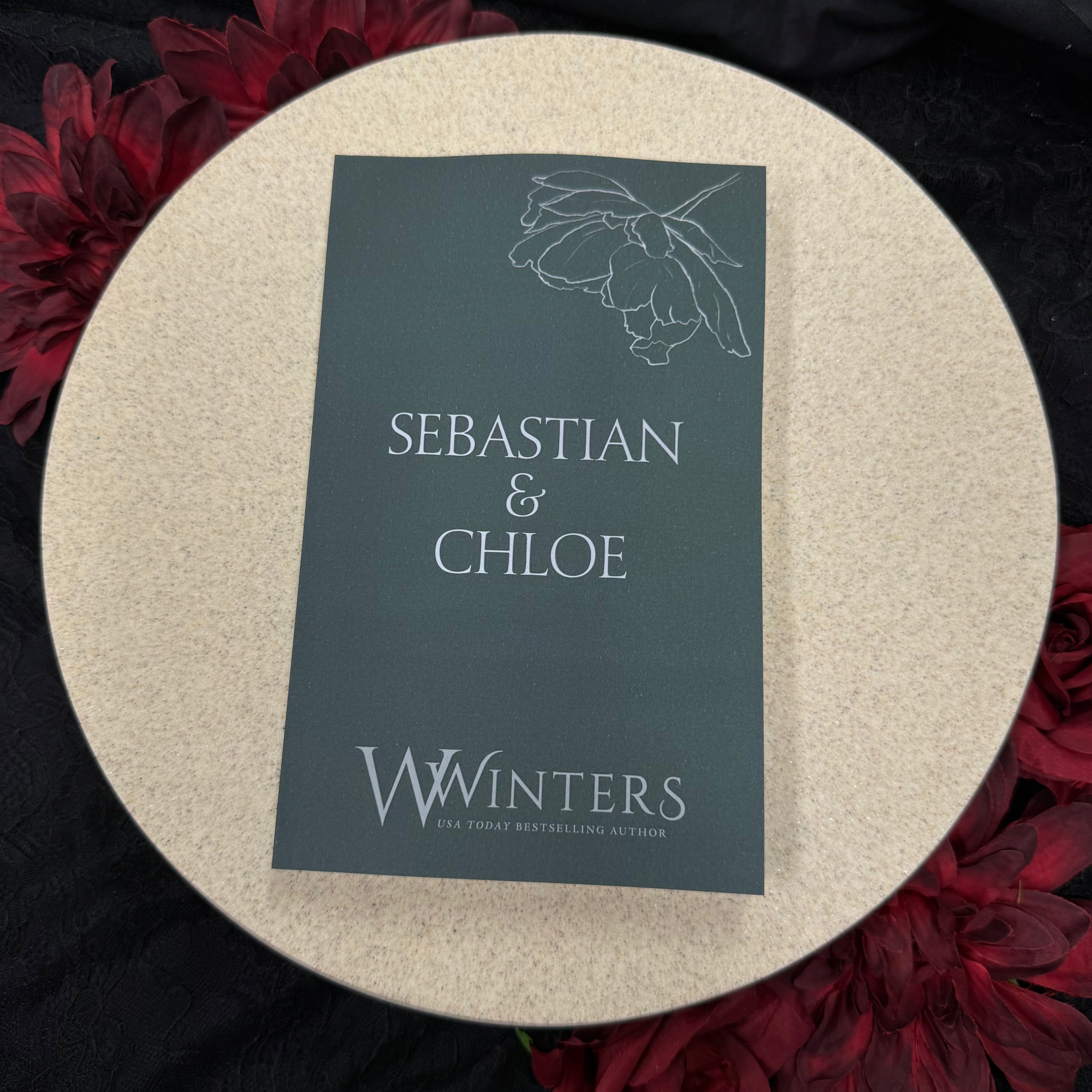 29) Sebastian & Chloe: Discreet Series by Willow Winters – A Thousand Lives