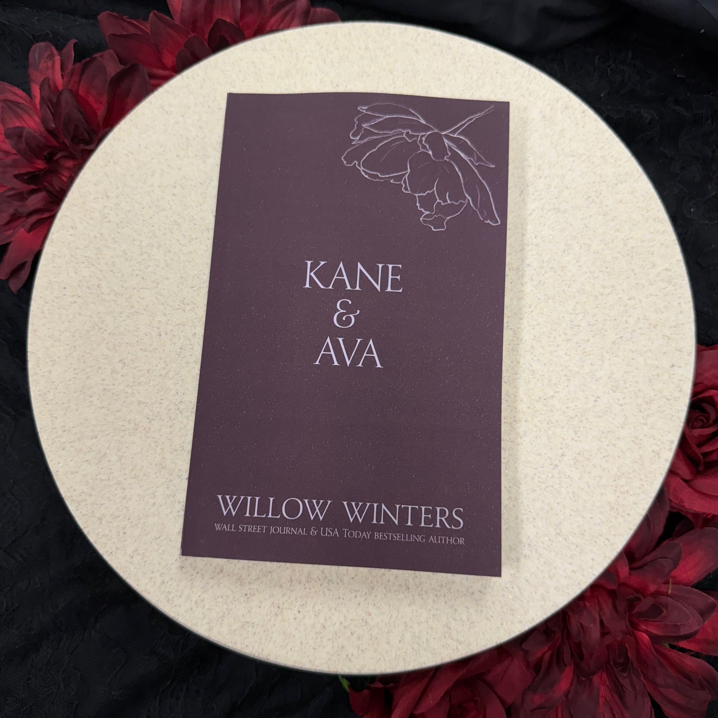 3) Kane & Ava: Discreet Series by Willow Winters – A Thousand Lives
