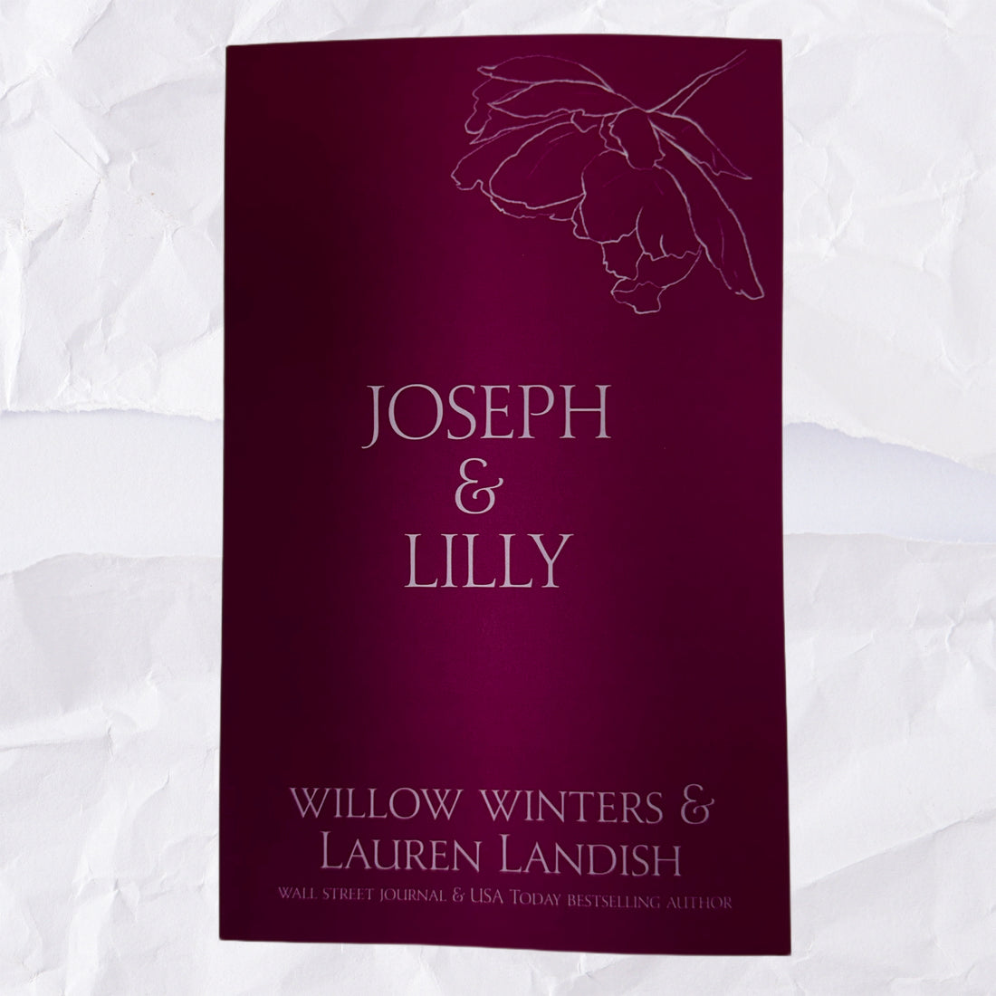 10) Joseph & Lily: Discreet Series by Willow Winters – A Thousand Lives